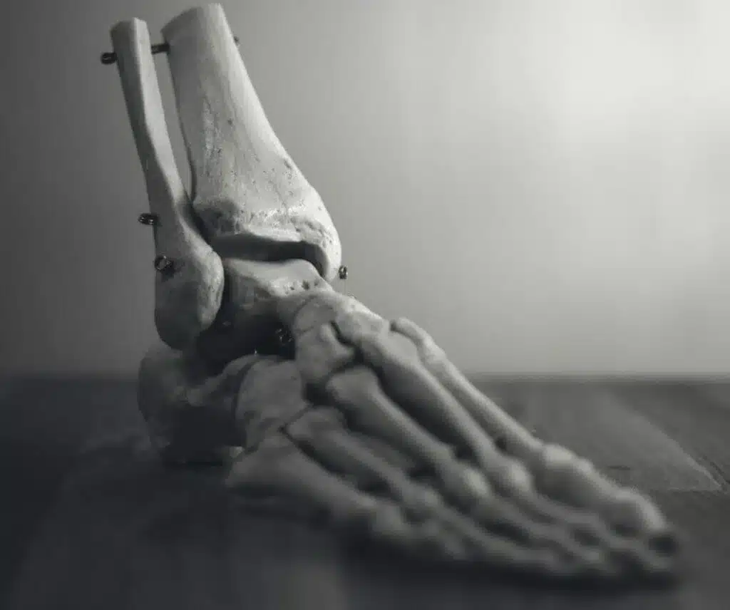 The Human Foot Is a Masterpiece of Engineering and a Work of Art - 26 ...
